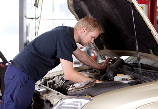 CFMWS | MFRC | Comox | CFMWS